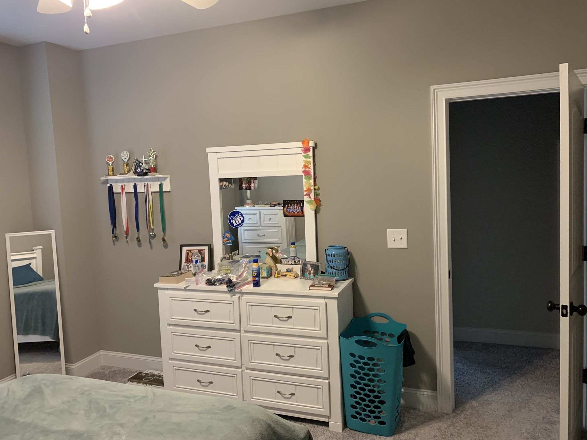 Sherwin Williams Dorian Gray 7017 Paint
