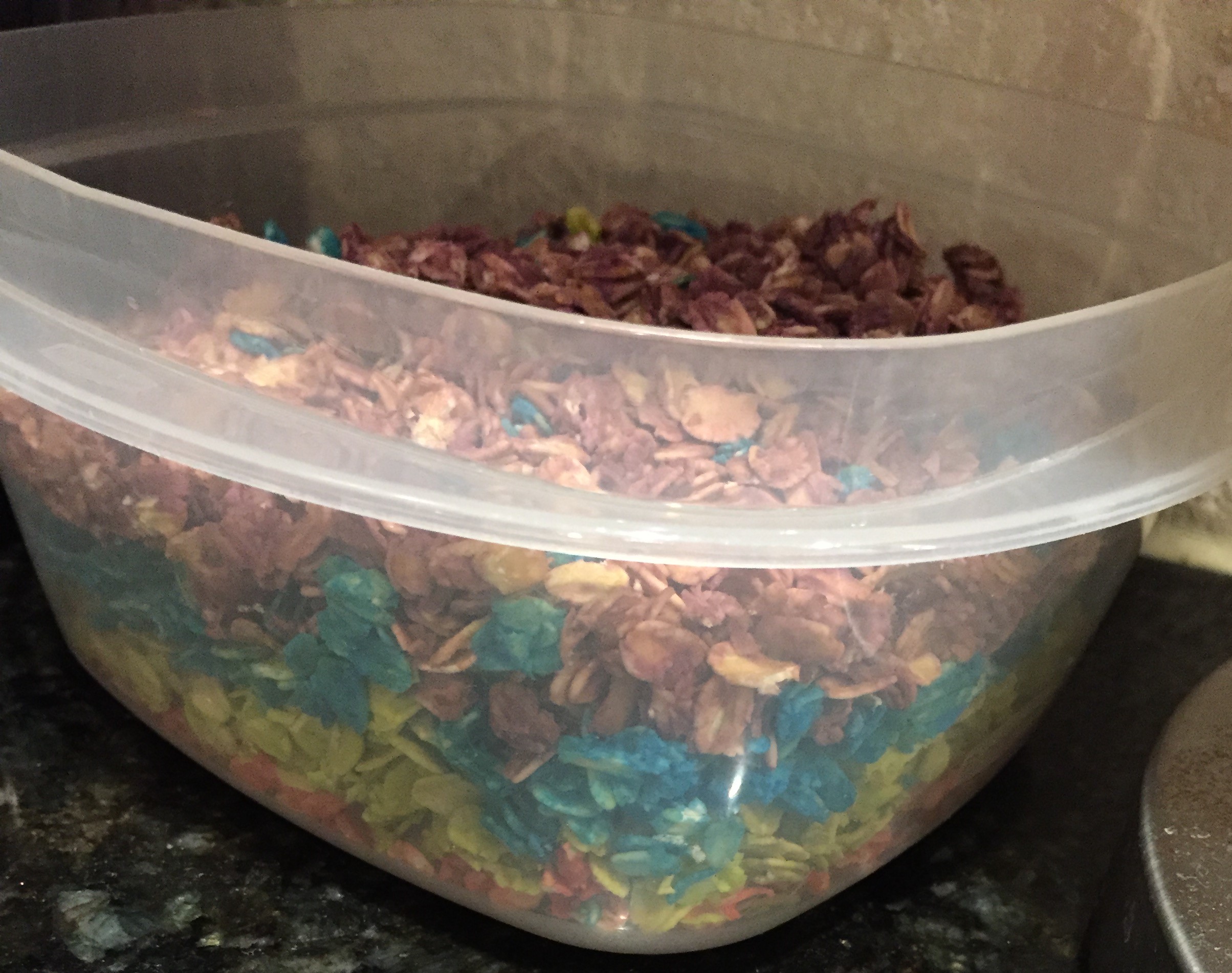 8 Fun (& Easy) Science Experiments