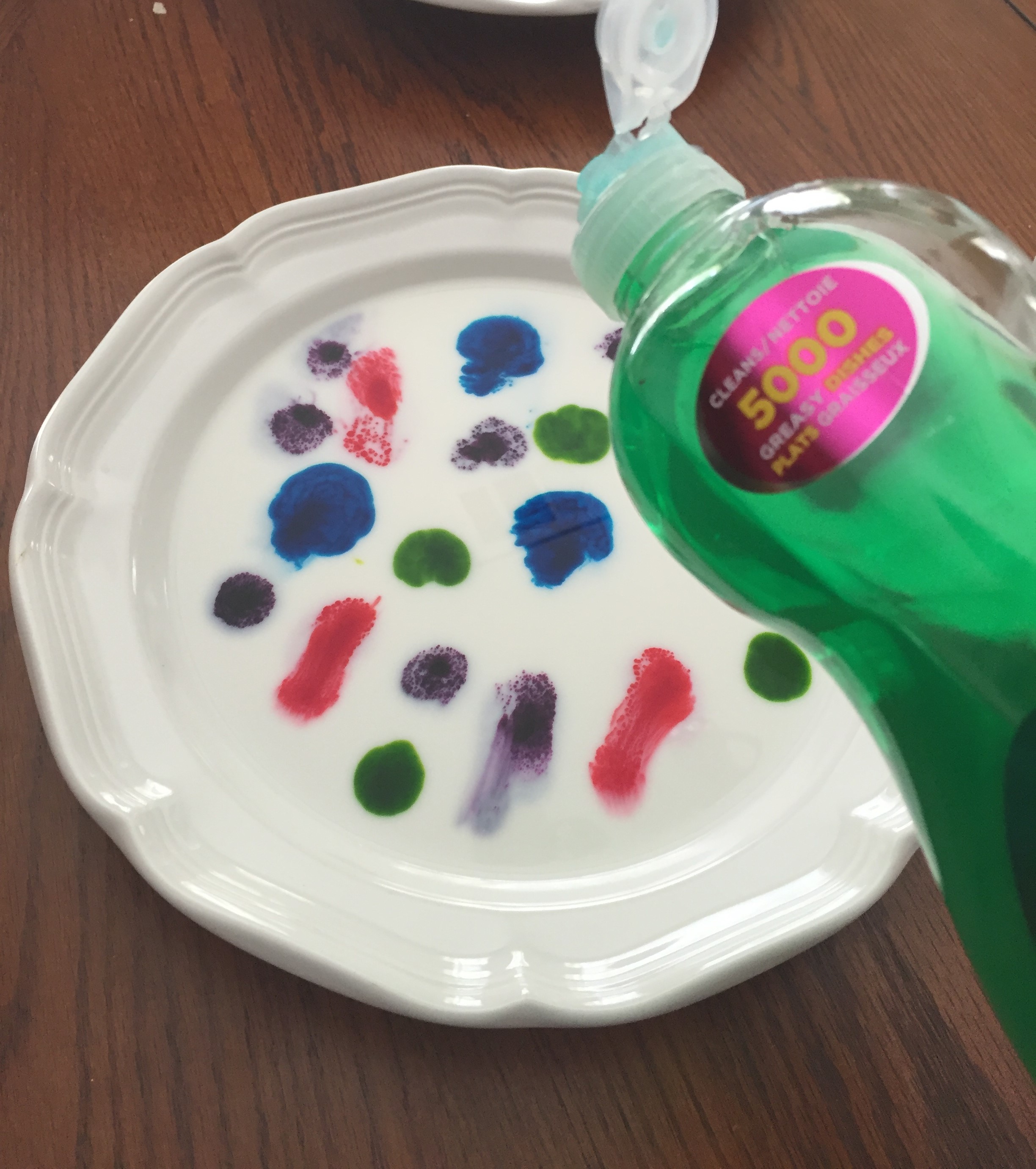 8 Fun (& Easy) Science Experiments