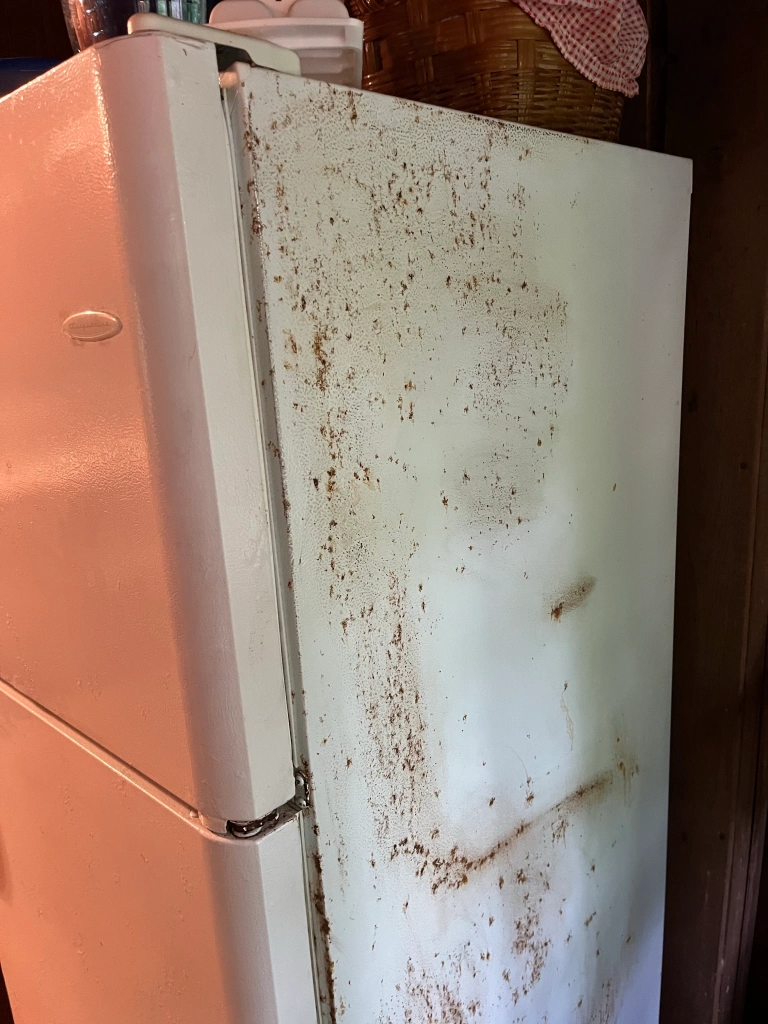 How to Refinish a Rusty Refrigerator - it's hammer time: a beginner's ...