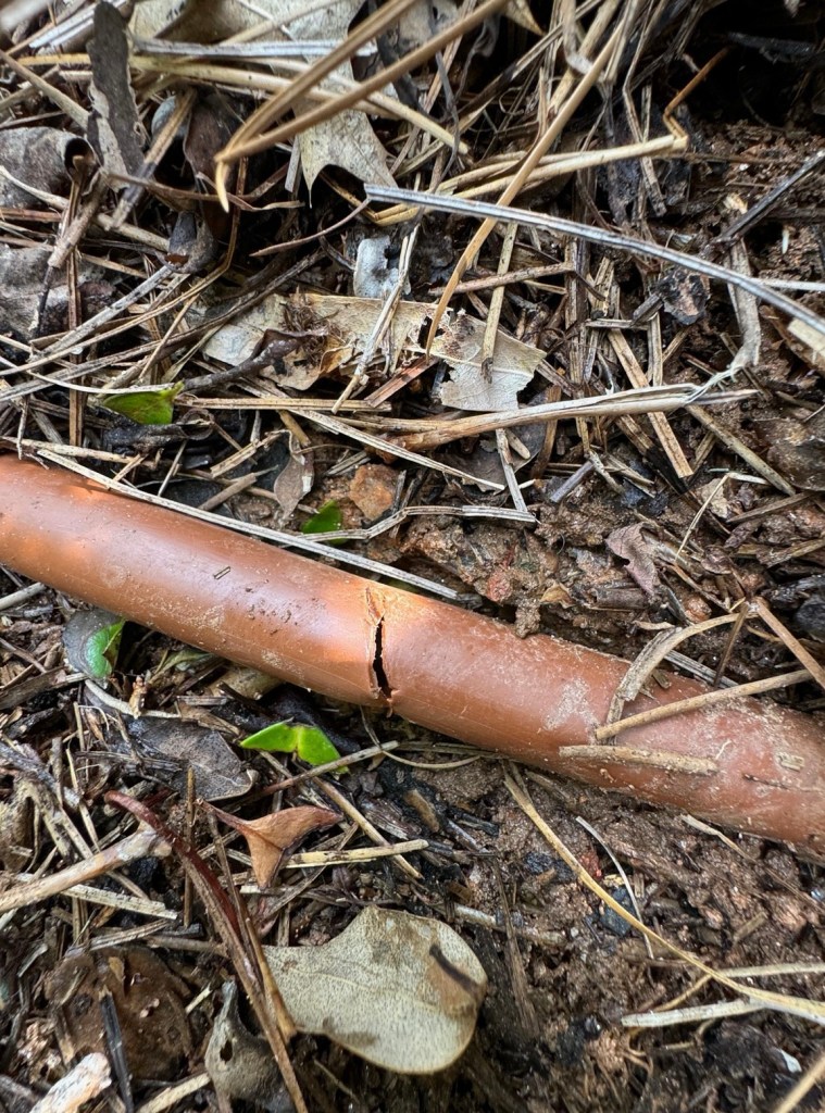 DIY: Irrigation Drip Line Repair